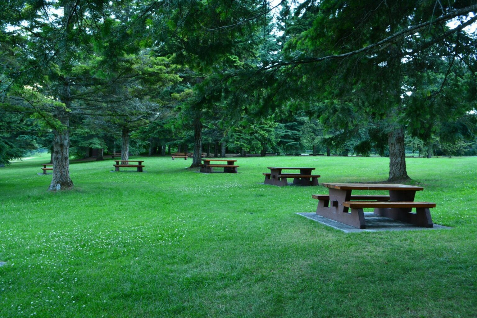 Herald Park – Camp BC