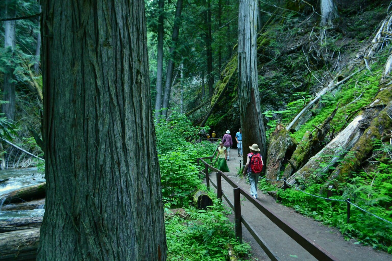 Herald Park – Camp BC